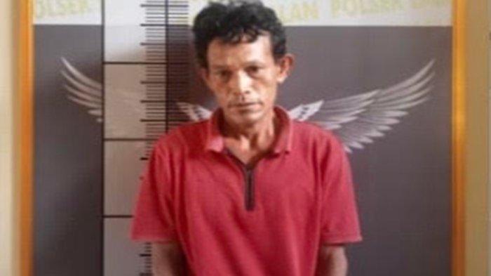 Pria di Musi Banyuasin Aniaya Tetangganya Saat Pulang Mencari Bibit ...