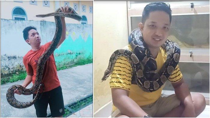 Tips Terhindar dari Bahaya Ular, Langkah Pertama Diam Tidak Bergerak ...