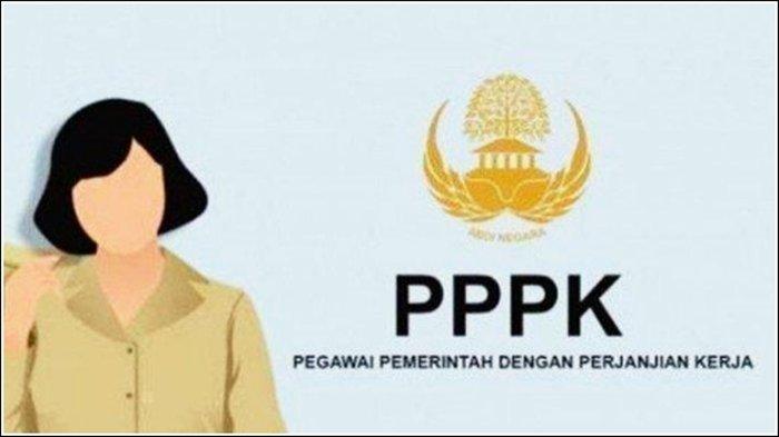 5 Contoh Tugas Operator Layanan Operasional PPPK 2024 untuk Lulusan SMA ...