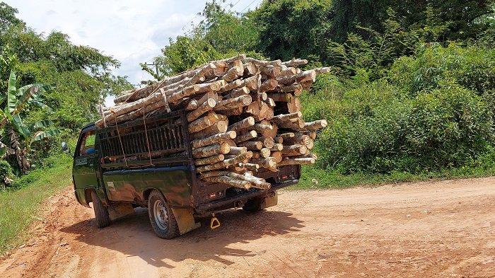 Penggusuran Kebun Karet oleh PT MHP di Banumas OKU Timur, Warga ...