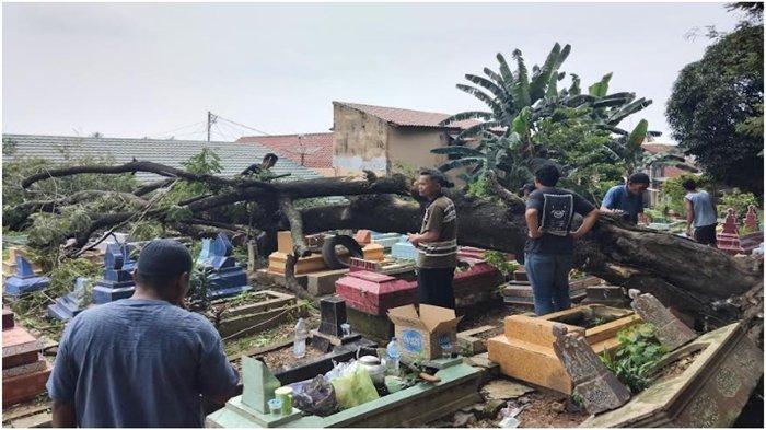 Pohon Usia 50 Tahun Tumbang di Makam Kawah Tengkurep, Timpa Atap Rumah ...