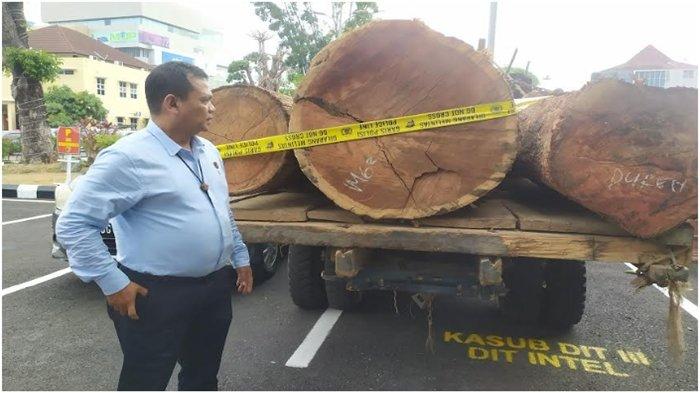 Polda Sumsel Gerebek Lokasi Penampungan Kayu lllegal Logging di MUBA, 3 Tersangka Ditahan ...