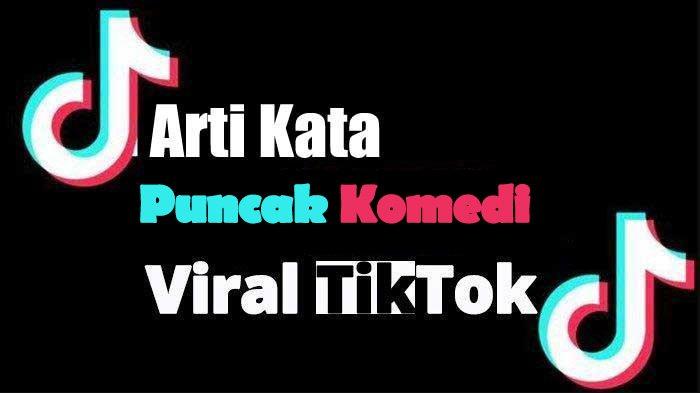 Puncak Komedi dalam Bahasa Gaul Artinya Apa? Kosa Kata Kekinian Populer di IG Hingga TikTok ...