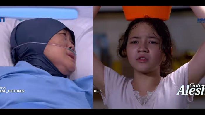 Rangkuman Sinetron Cinta Alesha 24 Januari 2023: Alesha Miliki Firasat Buruk Tentang Nenek ...