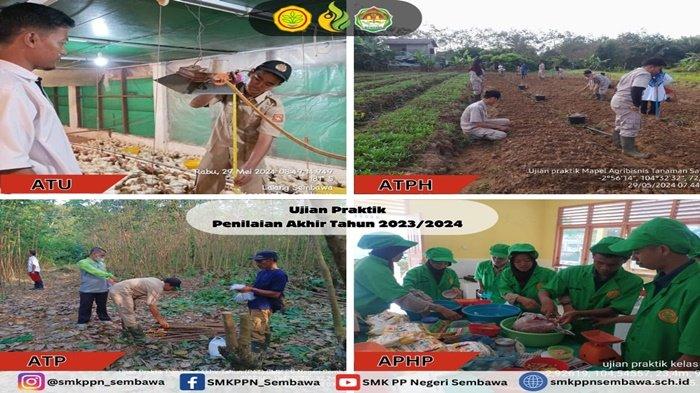 SMKPP Kementan Gelar Ujian Praktik, Siapkan Tenaga Didik yang Terampil ...