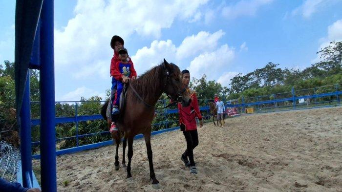 Serunya Naik Kuda di Taman Wisata Edukasi OKU Timur, Dibuka Gratis ...
