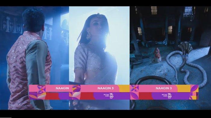 Sinopsis Serial Drama India Naagin 3 12 November 2022: Bela Marah Besar ...