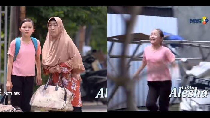 Sinopsis Sinetron Cinta Alesha 21 Desember 2022: Alesha Kejar Penjahat Curi Tasnya dan Nenek ...