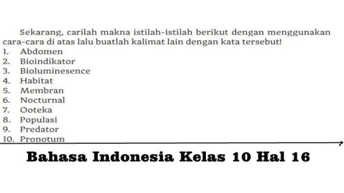 Carilah Makna Istilah-istilah Berikut, Kunci Jawaban Bahasa Indonesia Kelas 10 Hal 16 ...