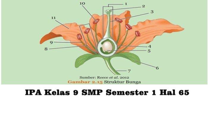 Berilah keterangan Gambar 2.15 Pada Tempat Disediakan, Kunci Jawaban ...