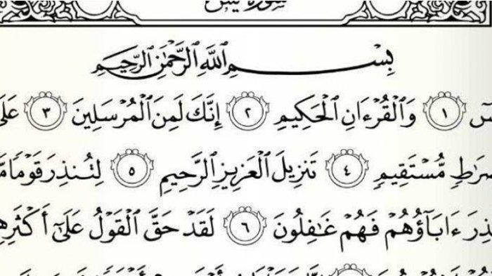 Surat Yasin Lengkap Sampai 83 Ayat Bacaan Latin Dan Arab - Tribunsumsel.com