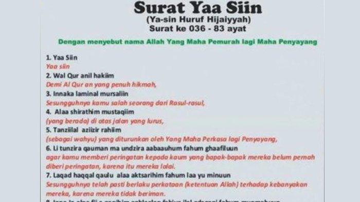 Surat Yasin Tulisan Latin Mudah Dibaca dan Artinya Lengkap 1-83 Ayat ...