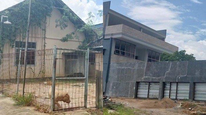 Pekerjaan Andre Pemilik Harimau Terkam ART Hingga Tewas, Pengusaha Kayu ...