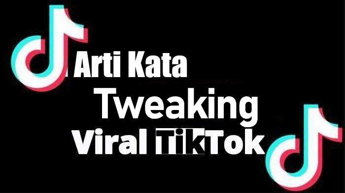 Tweaking dalam Bahasa Gaul Artinya Apa? Kosa Kata Kekinian Viral di TikTok - Tribunsumsel.com