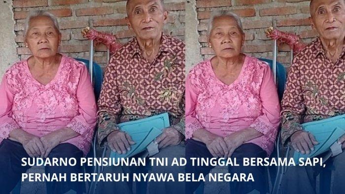 Sosok Sudarno Veteran di Magetan Tinggal Bersama Sapi, Pensiunan TNI AD ...