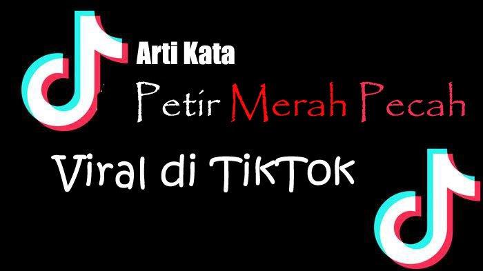 Viral di Tiktok Petir Merah Pecah Artinya Apa? Ternyata Istilah untuk Aplikasi Ini ...