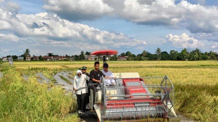 Bulog Terapkan Harga Baru, Siap Serap Gabah Petani Seharga Rp 6.500 Perkilo - Tribunsumsel.com