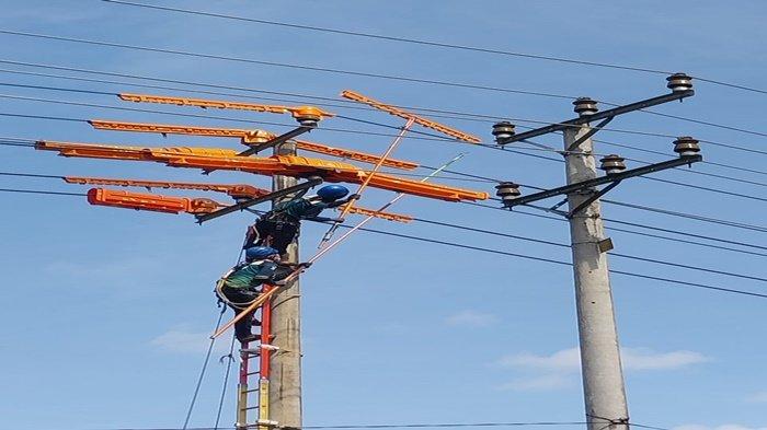 Wujud Sinergi dan Kolaborasi, Tim PDKB PT PLN Lahat Lakukan Pemeliharaan Jaringan 20 KV Tanpa ...