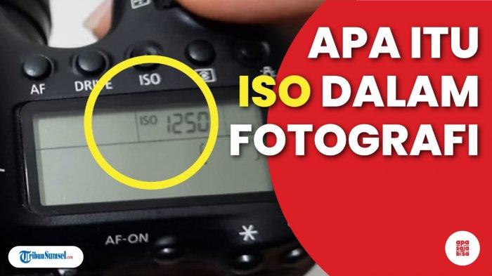 Mengenal ISO dalam Fotografi, Ikuti Videonya hingga Akhir agar Tidak ...