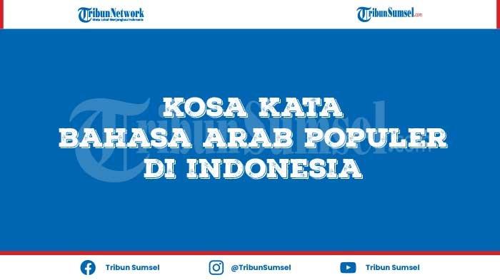 Anta Kalbun Adalah, Arti Anta Kalbun Bahasa Arab, Kosa Kata Umpatan ...