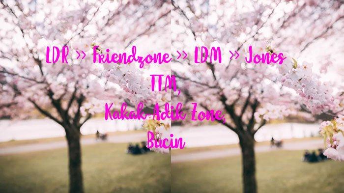 Arti LDR, LDM, TTM, Friendzone, Kakak-AdikZone, Jones, Bucin, Kamus ...