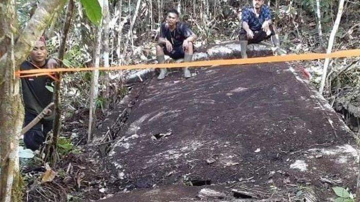 Kronologi Bangkai Pesawat Ditemukan di Hutan Kalimantan, Sudah Lama Tapi Baru Viral, Diduga ...
