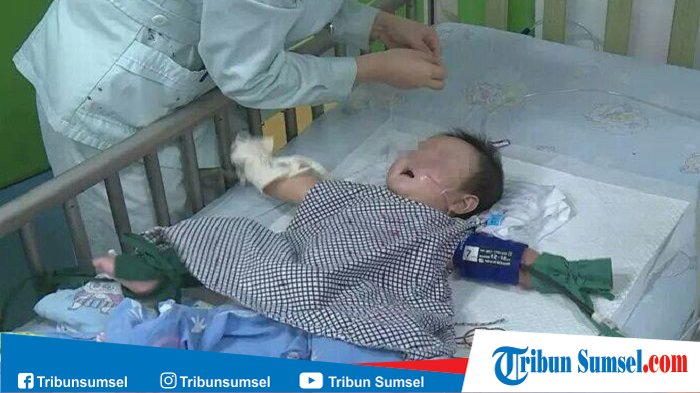 Malang Nasib Bayi dari Hasil 'Sewa Rahim' Ini, Cacat Lalu Dibuang ...