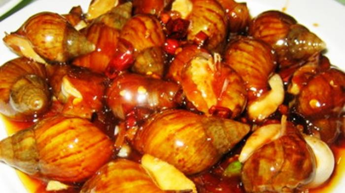 Beragam Manfaat dari Bekicot - Tribunsumsel.com