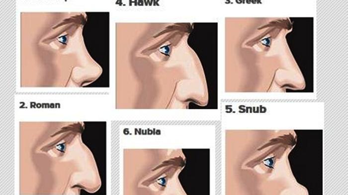 Ketahui Karakter Anda Melalui Bentuk Hidung - Tribunsumsel.com