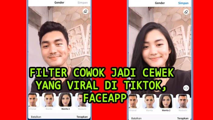 Cara Edit Video Filter Cowok Jadi Cewek yang Viral di TikTok, Pakai Aplikasi FaceApp ...