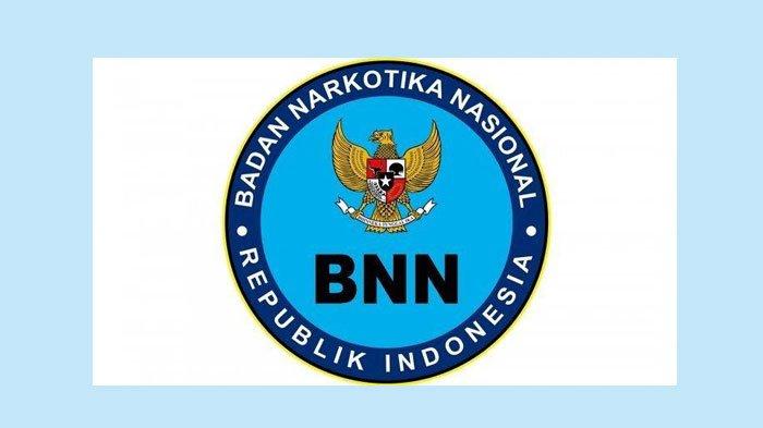 Syarat dan Cara Membuat Surat Keterangan Bebas Narkoba (SKBN) Untuk ...