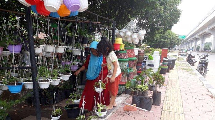 5 Tempat Penjual Tanaman Bunga Hias di Kota Palembang, Paling ...