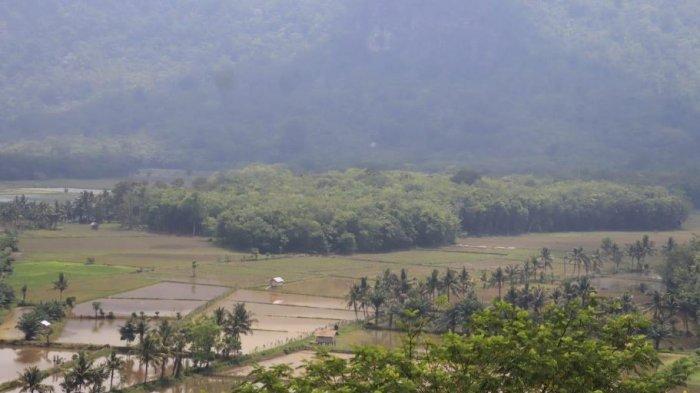 Bingung Liburan Akhir Tahun di Mana? Kunjungi 2 Desa Wisata Tematik di ...