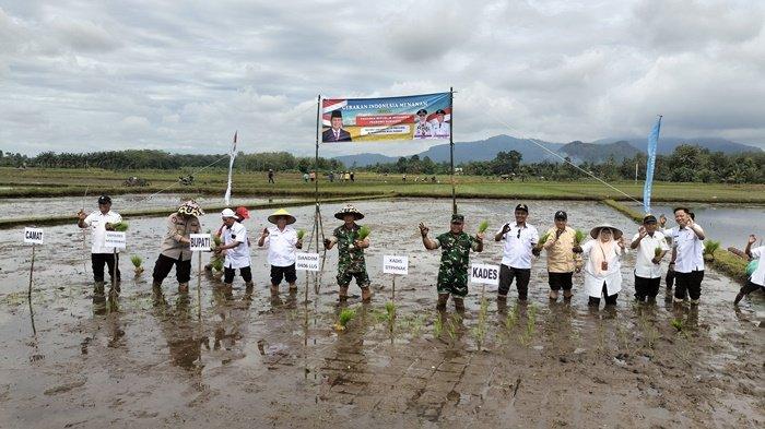 Pemkab Musi Rawas Ikuti Gerakan Tanam Padi Serentak di 14 Provinsi Bersama Presiden ...
