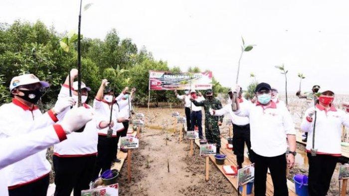 Herman Deru Siap Wujudkan Taman Wisata Mangrove Sumsel yang Bisa Saingi ...