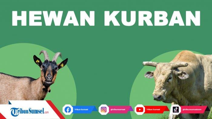 4 Cara Membedakan Daging Sapi dan Kambing, Perhatikan dari Warna, Serat Hingga Aroma ...