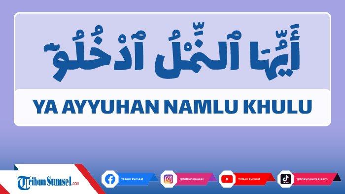 Arti Yaa Ayyuhan Namlud Khulu, Doa Mengusir Semut Ada dalam Alquran ...