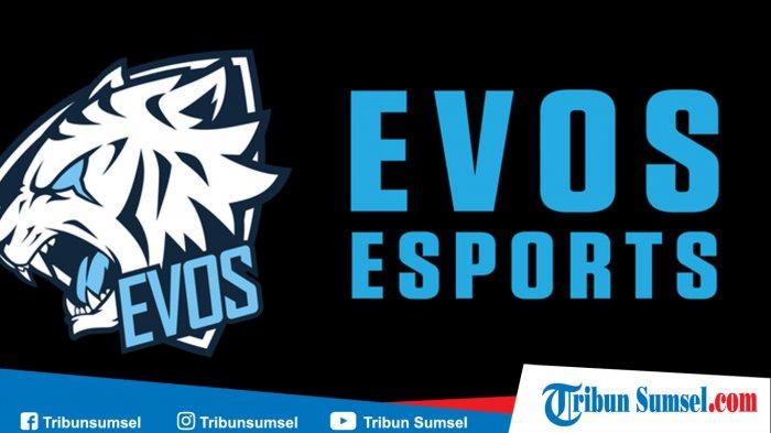Ini Daftar Pemain Timnas Indonesia AOV Esports di SEA Games 2019 ...
