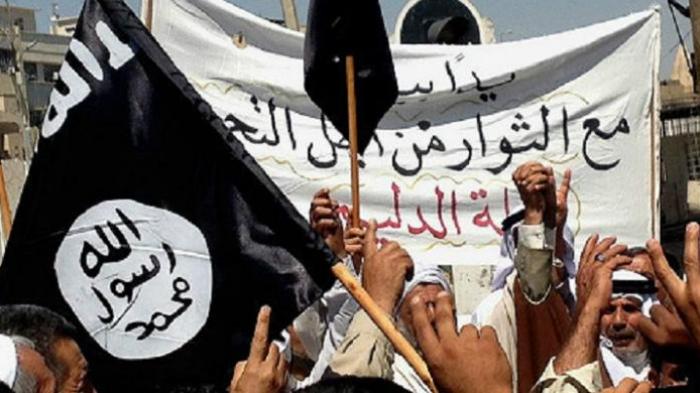 ISIS Vs Al Qaeda di Dunia Maya - Tribunsumsel.com