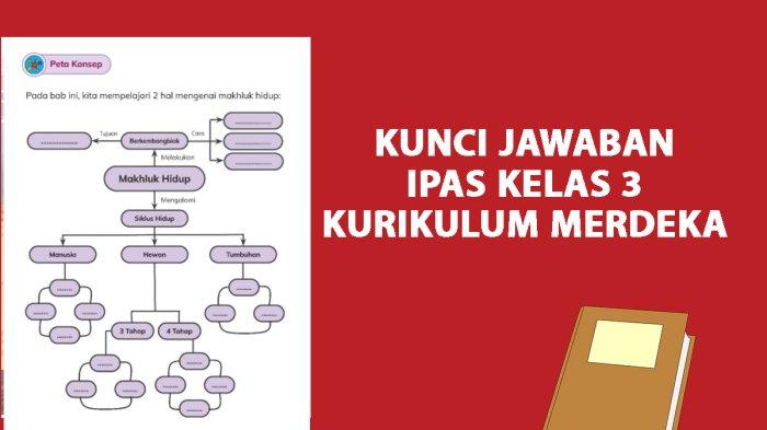 Kunci Jawaban IPAS Kelas 3 Halaman 56 57 58 Kurikulum Merdeka, Peta Konsep dan Uji Pemahaman ...