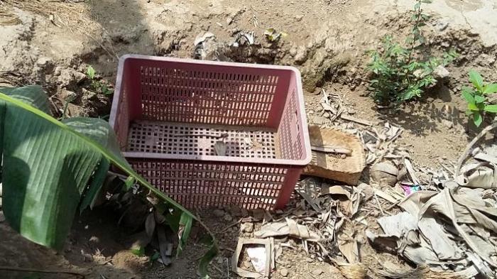 'Terlihat Wajah Engeline yang Sudah Rusak. Ketika Diangkat Terdapat ...