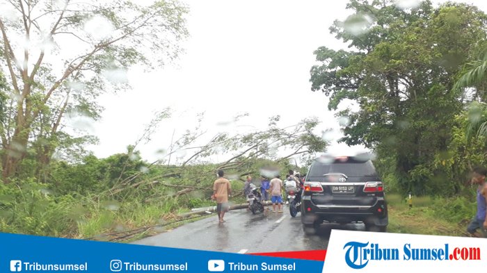 Jalinsum di Muratara Terblokir Hingga Sebabkan Macet, Pengemudi Kaget Karena Ada Hal Ini ...