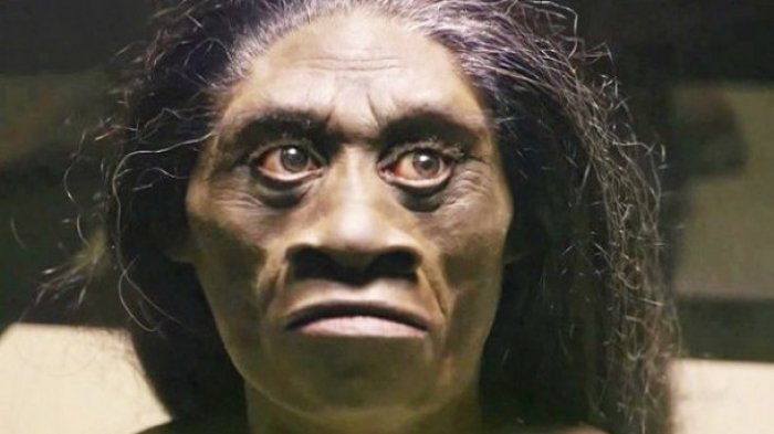 Hidup 5000 Tahun Lalu, Inilah Ras Manusia Purba yang Diyakini Penghuni ...