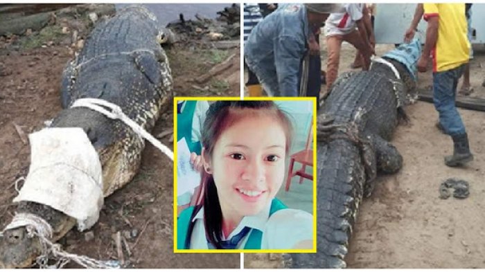 Dimangsa Buaya, Mayat Gadis Ini Ditemukan Dalam Kondisi Utuh dan ...