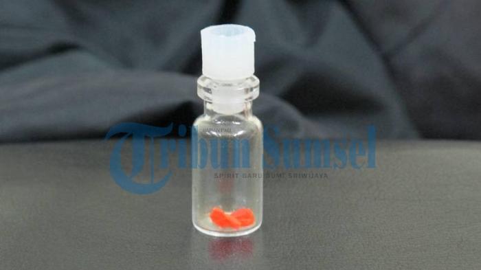Stafsus Menteri BUMN Heran Kenapa Indonesia Impor Bahan Obat di Atas 90 ...