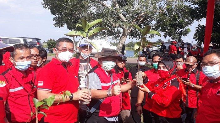 Meski Identik Warna Merah, PDIP Canangkan Politik Hijau untuk Indonesia ...
