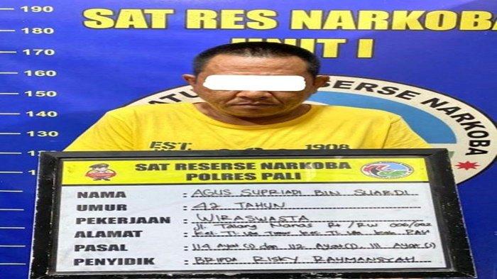 Jadikan Rumah Tempat Transaksi Narkoba, Pria di Pali Ditangkap Polisi Bersama 20 Paket Sabu ...
