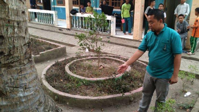 Sebelum Tewas Terjatuh dari Pohon, Santri Ponpes Raudhatul Ulum Sempat ...