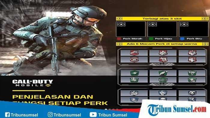 Penjelasan Tentang 16 Perk Emblem Merah, Biru, dan Hijau Game Call of ...