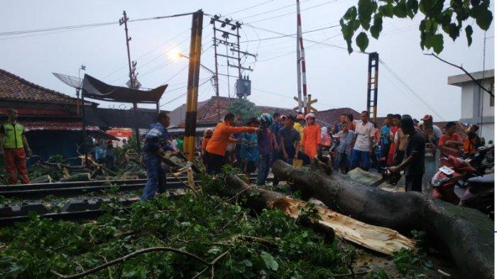 Pohon Tumbang Timpa Rel Kereta Api di Dusun Muara Enim, Perjalanan KA Baracinta Tertunda 1 Jam ...